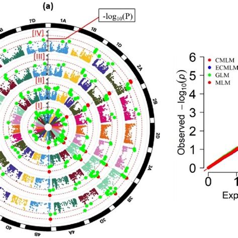 A Circular Manhattan Plot Displaying Four Single Locus Models Of Gwas