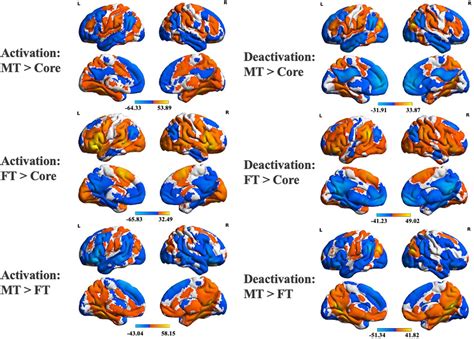Distinctive And Complementary Roles Of Default Mode Network Subsystems