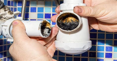 Garbage Disposal Cause Clog At Fred Morales Blog