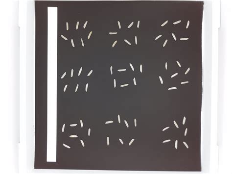 Rice Identification Object Detection Dataset By Rice