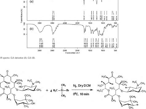 Figure 1 From Rp Hplcpre Column Derivatization For Analysis Of Omeprazole Tinidazole