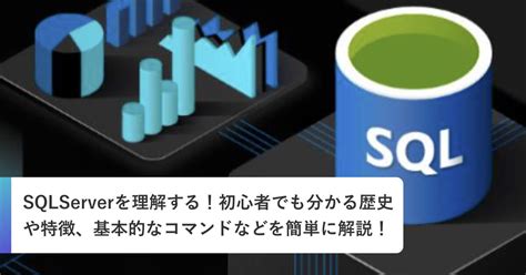 Sqlserverを理解する！初心者でも分かる歴史や特徴、基本的なコマンドなどを簡単に解説！ ｜ 案件評判