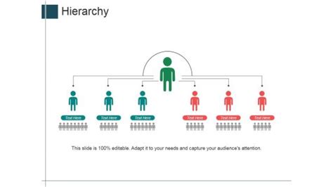 Hierarchy Ppt Powerpoint Presentation Professional Files