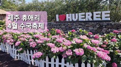 제주 휴애리 4월 수국축제 Youtube