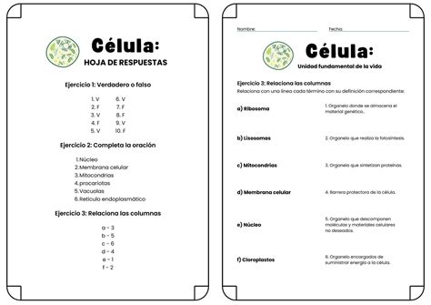 Que Es La Celula Fichas De Trabajo Materiales Educativos Para Maestros