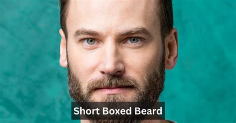 Short Boxed Beard How To Grow And Style It Perfectly