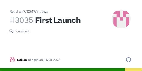 First Launch Issue Ryochan DS Windows GitHub