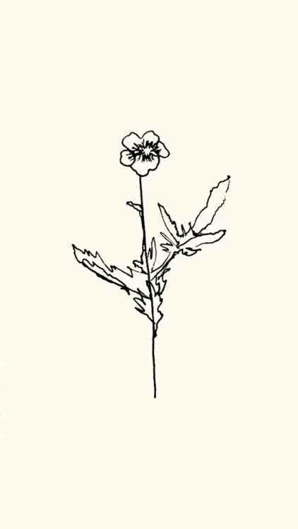 More Of My Drawings Inspired By And Some By Flo Tumbex