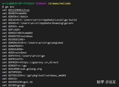 Vscode配置安装golang开发环境 知乎