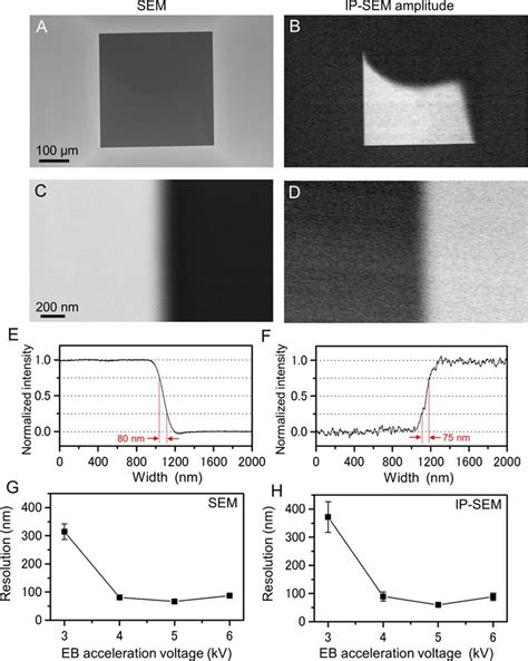 Comparison Of Spatial Resolution Between SEM And IP SEM A A SEM Download Scientific Diagram
