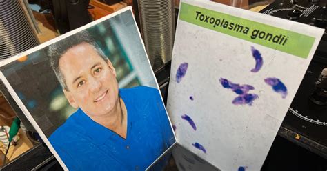 The Pathogenic Cleanse Addresses Pathogenic Diseases And The Associated Quantum Medical Conditions