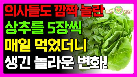 의사들도 깜짝 놀란 상추를 매일 먹었더니 몸의 이런 질병들이 사라졌습니다 상추 효능과 부작용 Youtube
