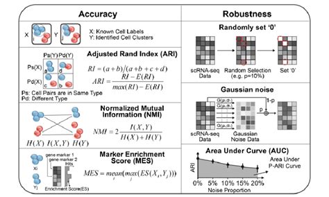 Evaluating Accuracy And Robustness Of Clustering Method Accuracy Left