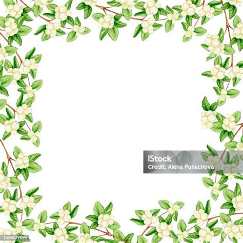 테두리 흰색 열매가 있는 가지의 사각형 프레임 크리스마스 새해 생일 결혼식에 대 한 수채화 그림입니다 엽서 초대장 축하 엽서 축하 로고 태그 라벨을 디자인합니다 0명에 대한