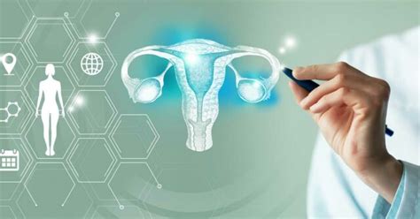 Treatment Guide For Ovarian Fallopian Tube And Peritoneal Cancers