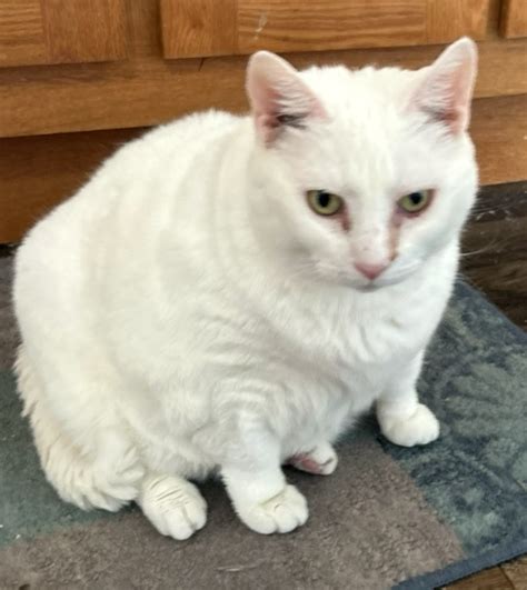 I Failed Last Night Album On Imgur