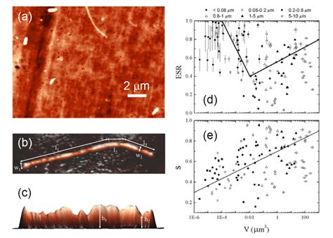 A Submicron Uhmwpe Wear Particles On A Filter Medium Imaged With