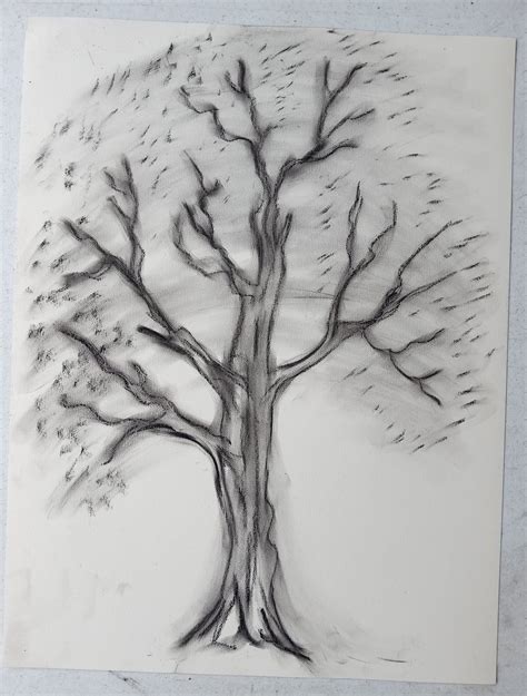 Single Tree Original Landscape Charcoal Drawing Etsy