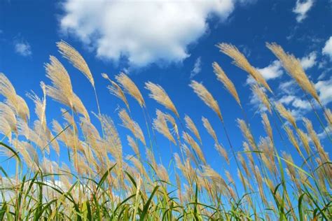 키컷스톡 저작권 걱정 없는 상업용 사진 일러스트 그래픽 찾아보기