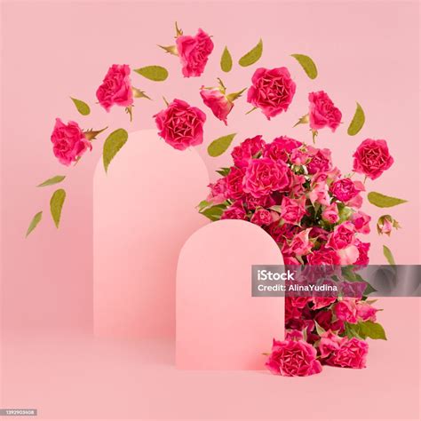 봄 추상 단계 분홍색의 신선한 스프레이 장미의 아치 새싹의 부상과 연단으로 모형으로 두 개의 빈 둥근 공간 흰색 배경에 흐름으로 녹색 잎 사각형 프레젠테이션용 템플릿입니다