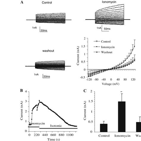 Calcium Activated Chloride Current In Mouse Cholangiocyte Line A Download Scientific Diagram