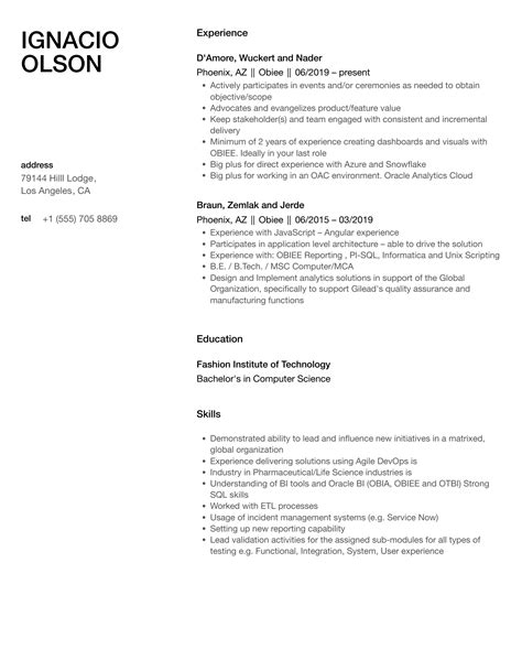 Obiee Resume Samples Velvet Jobs