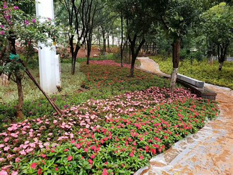 春城花都添美景 京城国企展风采 新闻信息 企业动态