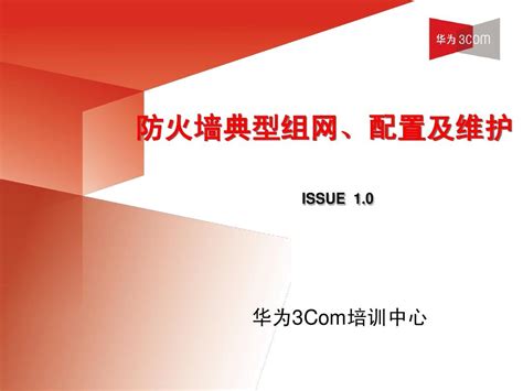 防火墙典型组网及维护word文档在线阅读与下载无忧文档 防火墙典型组网及维护word文档在线阅读与下载无忧文档