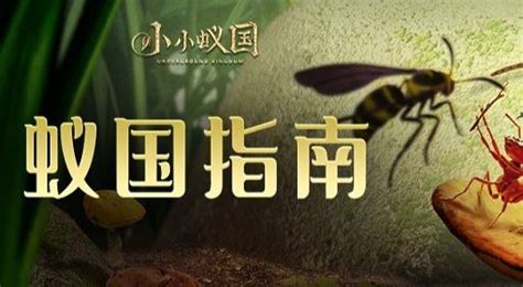 小小蚁国 小小蚁国下载 中文 攻略 视频 评价 游民星空 Gamersky