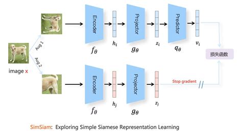 SimSiam孪生网络表征学习的顶级理论解释 知乎