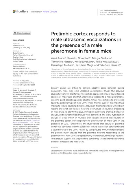 Pdf Prelimbic Cortex Responds To Male Ultrasonic Vocalizations In The