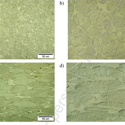 Microstructure Of Wsc A Liquid Phase Sintered 500 And Download Scientific Diagram