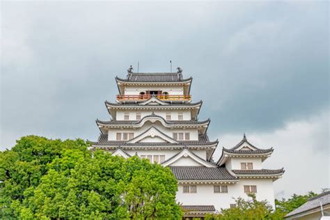 110 Shachihoko Fotos Fotos De Stock Imagens E Fotos Royalty Free Istock