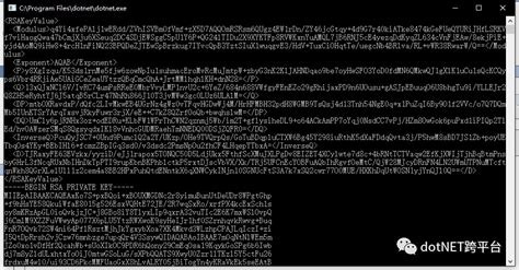 把java Rsa2048 Pem转xml格式net Core Rsa密钥的xml、pkcs1、pkcs8格式转换和javascript