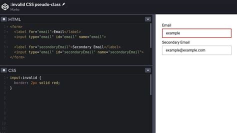 Css Tip Use The `invalid` Css Pseudo Class To Style Inputs Whose
