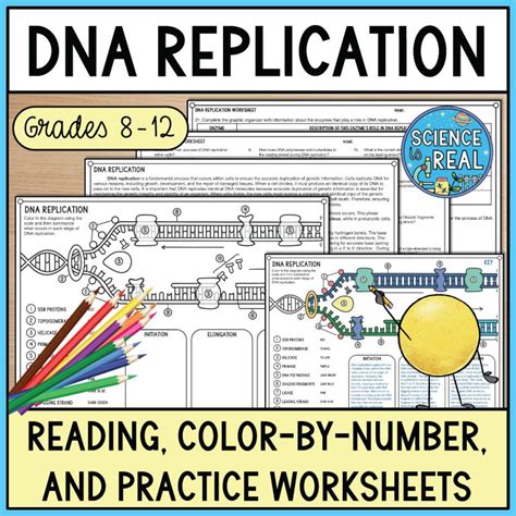 DNA Replication Amoeba Babes Video Handout Science Is Real Education