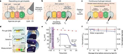 Umair Mehmood On Linkedin A Microscale Soft Ionic Power Source Modulates Neuronal Network