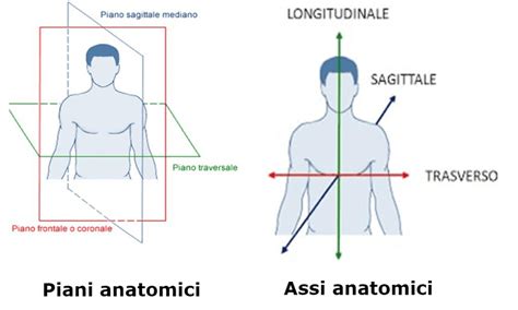 Passi Base Della Danza Contemporanea Quali Sono Tutorial
