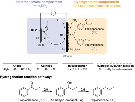Video Hydrogen Production And Utilization In A Membrane Reactor
