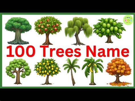 100 Trees Name In English All Plants Name In English List Of Trees Names Trees Tree