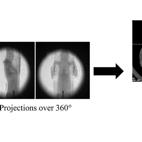 Dual Energy Micro Ct Material Decomposition A In Vitro Phantom