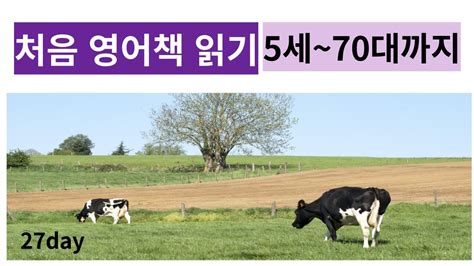 처음영어책읽기 27day2 영어책읽기원서읽기5세6세영어책읽기 50대 60대 영어책읽기엄마표 파닉스기초영어초등영어