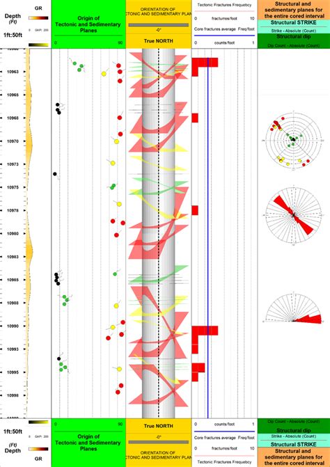 New Service Core Electronic Goniometry Panterra