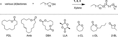 Overview Of The CROP Of Various Macro Lactones Using 1 2 And 3 Download Scientific Diagram