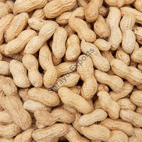 Shelled Groundnuts At Best Price In Kanchipuram Id 6370724 Sarayu