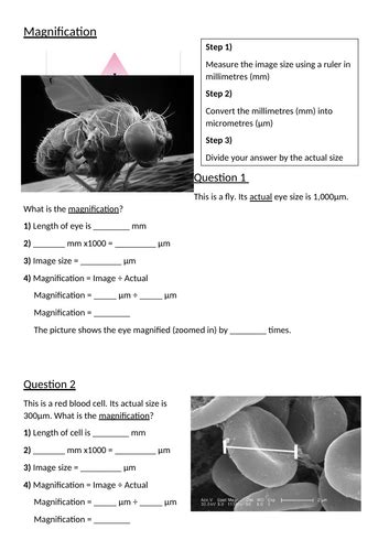 Aqa Gcse Biology Magnification Teaching Resources