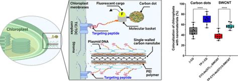 Carbon Nanomaterial Fluorescent Probes And Their Biological Applications Chemical Reviews