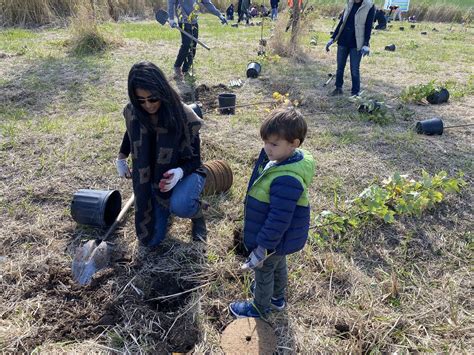 Rootrees 2019 Tree Planting Accomplishment The Nest Rootree