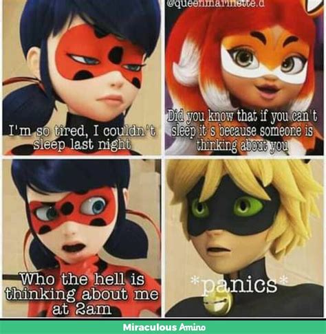 Miraculous Ladybug Memes Artofit