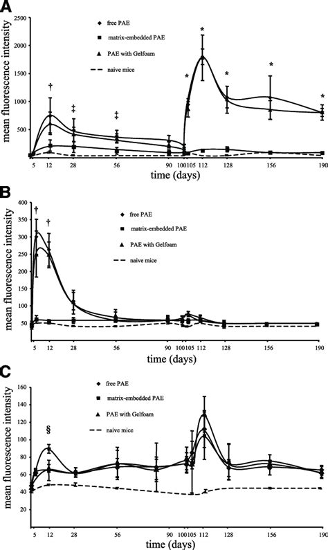 Effect Of Matrix Embedding Endothelial Cells On The Formation Of Download Scientific Diagram
